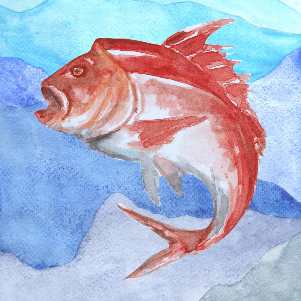 6th Annual Holiday Harbor “Show Us Your Sow” Red Snapper Tournament ...